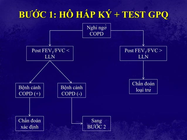 ỨNG DỤNG HÔ HẤP KÝ VÀ LƯU LƯỢNG ĐỈNH KÝ ĐỂ CHẨN ĐOÁN HEN VÀ COPD | PDF
