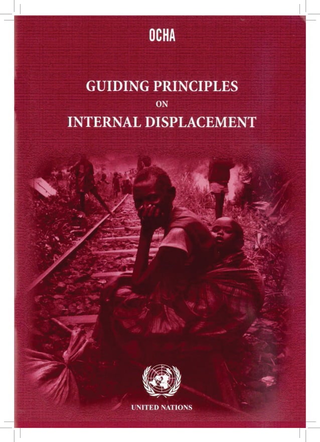 UN Guiding Principles on IDPs (1998 English) | PDF | Adoption and Fostering | Parenting