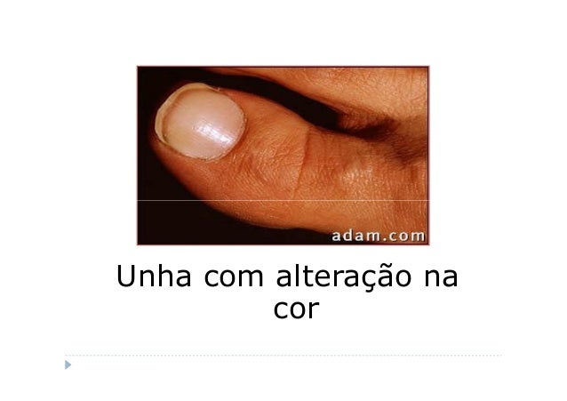 Leo schamroth ecg book - eroclothes