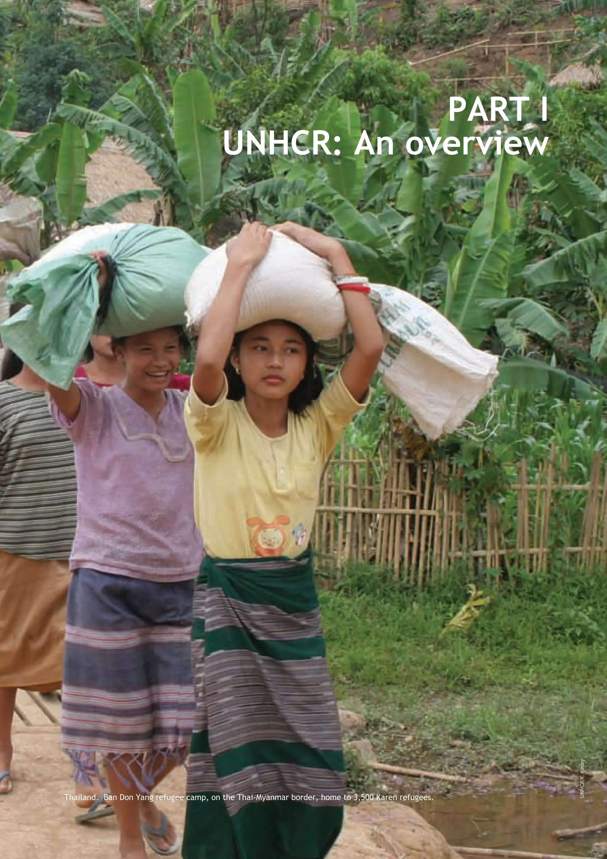 U.N.Refugee Agency A Overview | PDF