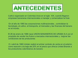 Uniban | PPT