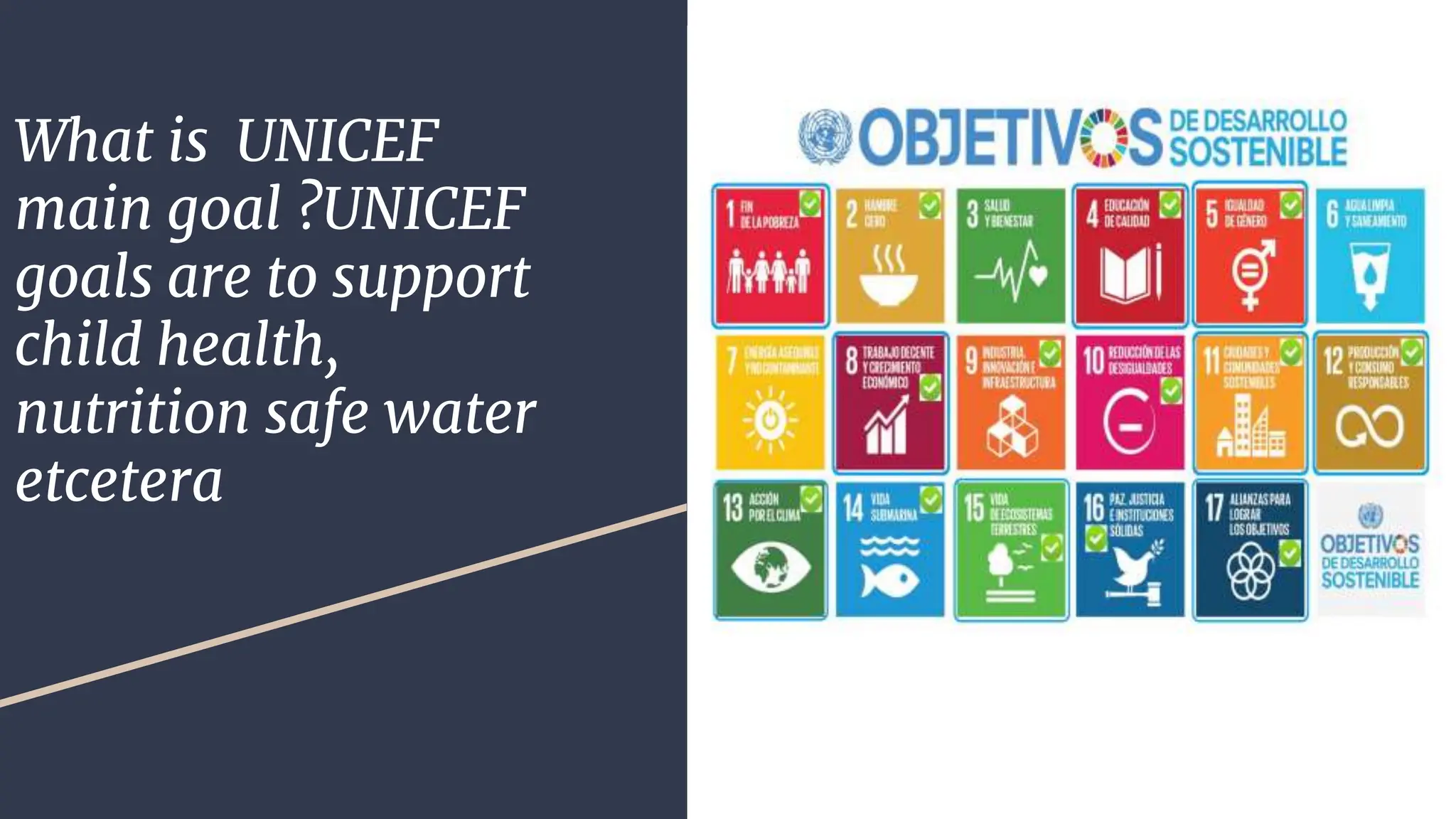 United Nations International Children Emergency Fund | PPTX