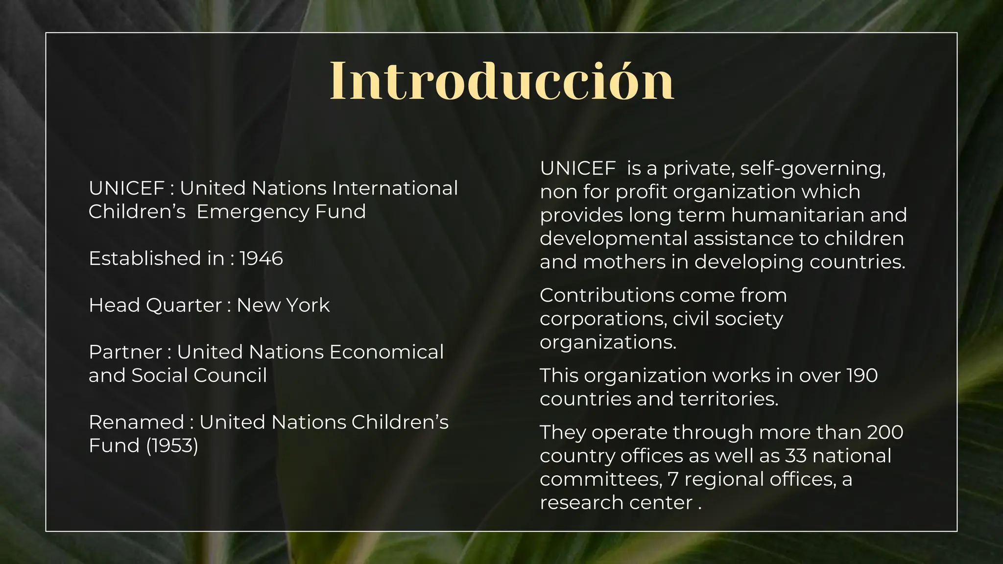 United Nations International Children’s Emergency Fund (UNICEF) | PPTX