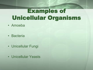 Unicellular and mulitcellular | PPTX