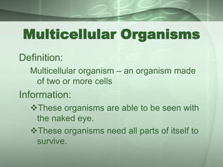 Unicellular and mulitcellular | PPTX | Biological Sciences | Science