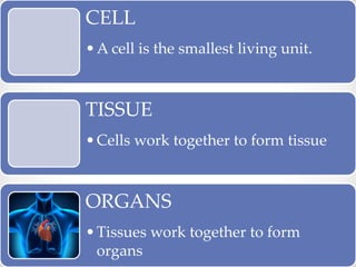 Unicellular and multicellular | PPTX