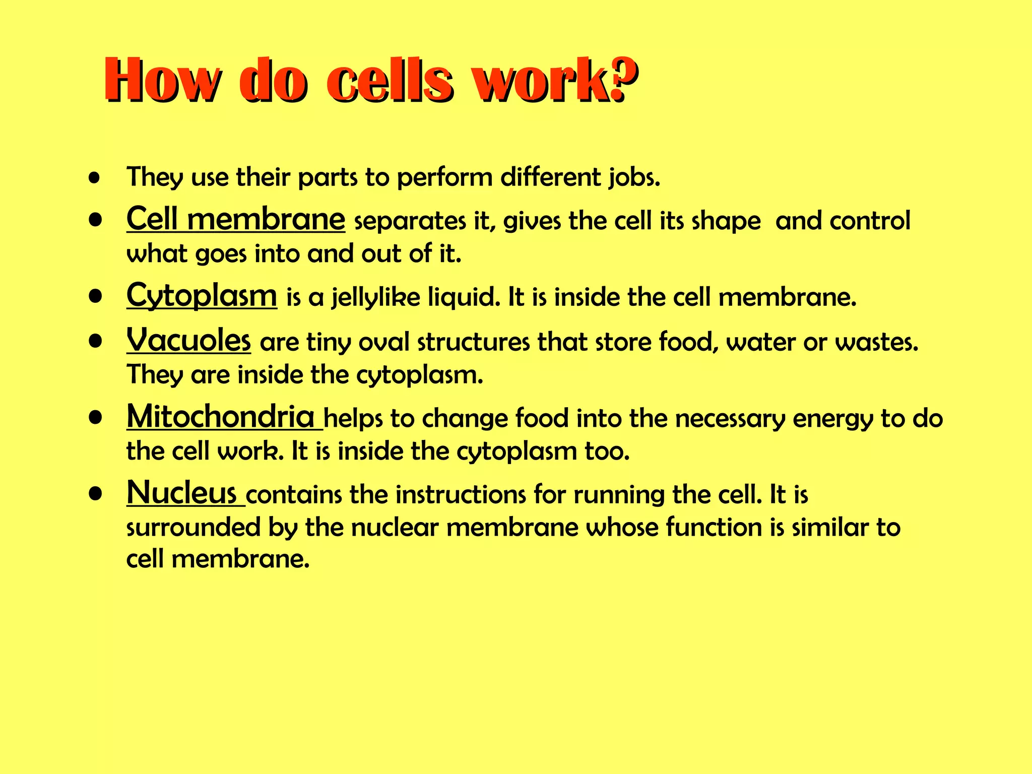 Unicellular and pluricellular living things | PPT