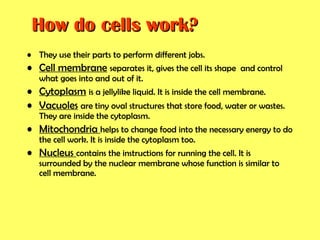 Unicellular and pluricellular living things | PPT