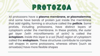 Unicellular Eukaryotic Parasites, definition and background | PDF