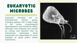 Unicellular Eukaryotic Parasites, definition and background | PDF