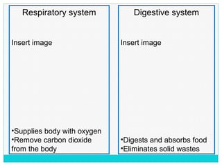 Unicellular&multicellular 2.2 (m1) | PPT