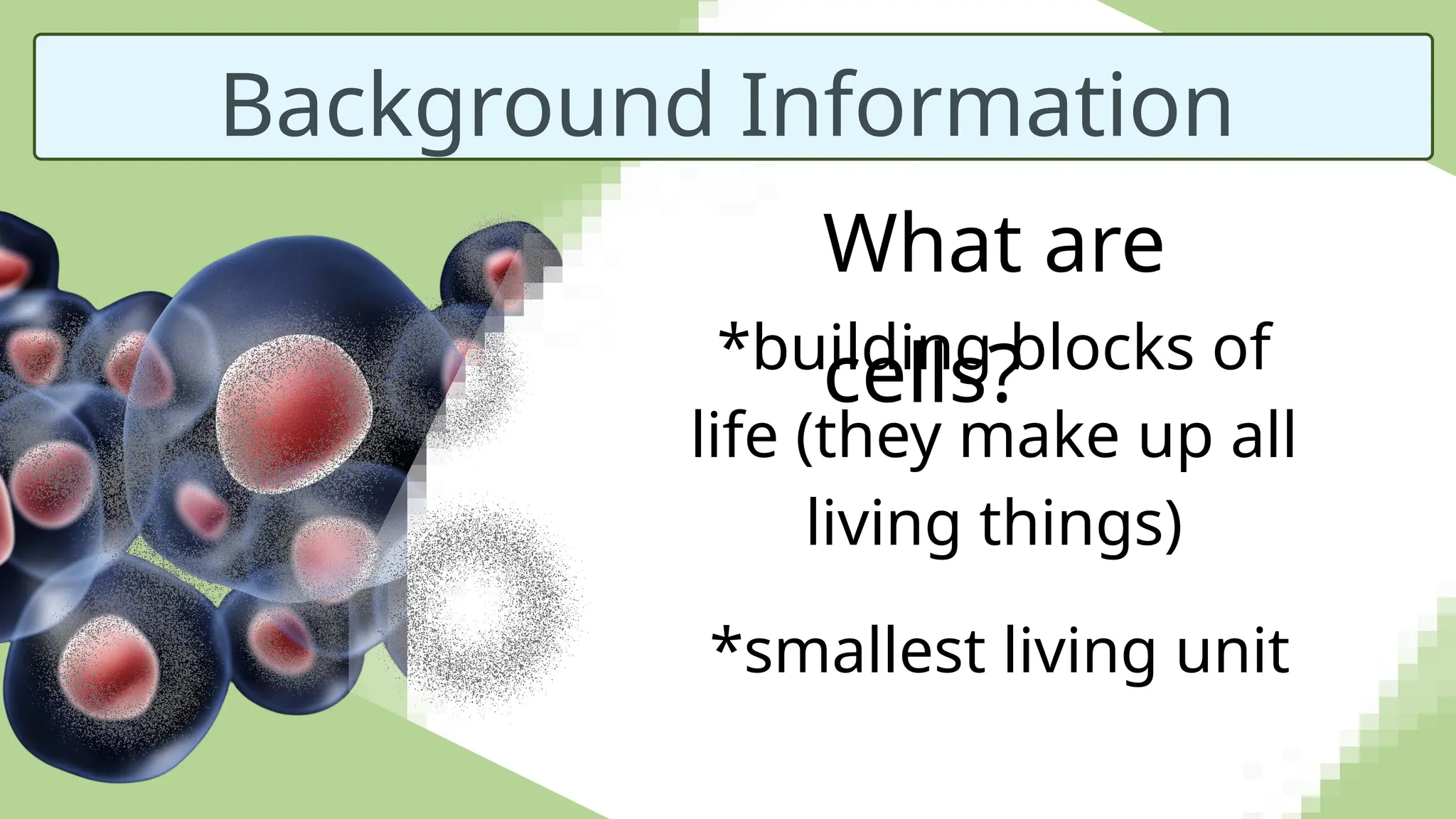 Examples of Unicellular Organisms (The Science of Life Grade 7 Second ...