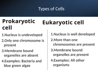 Different types of Unicellular Organisms ppt.pptx