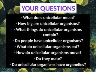 Different types of Unicellular Organisms ppt.pptx