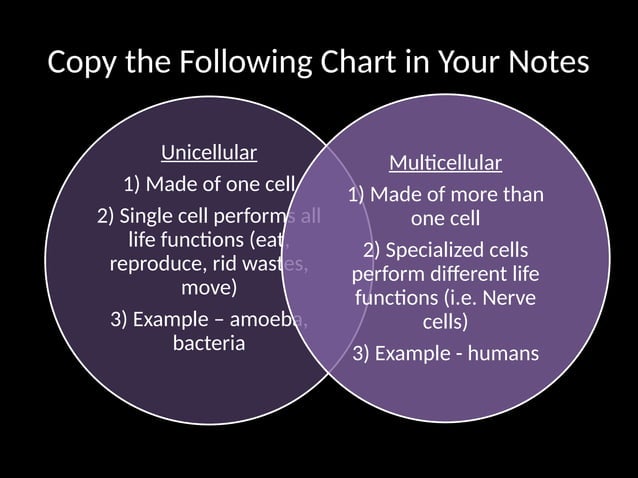 Different types of Unicellular Organisms ppt.pptx