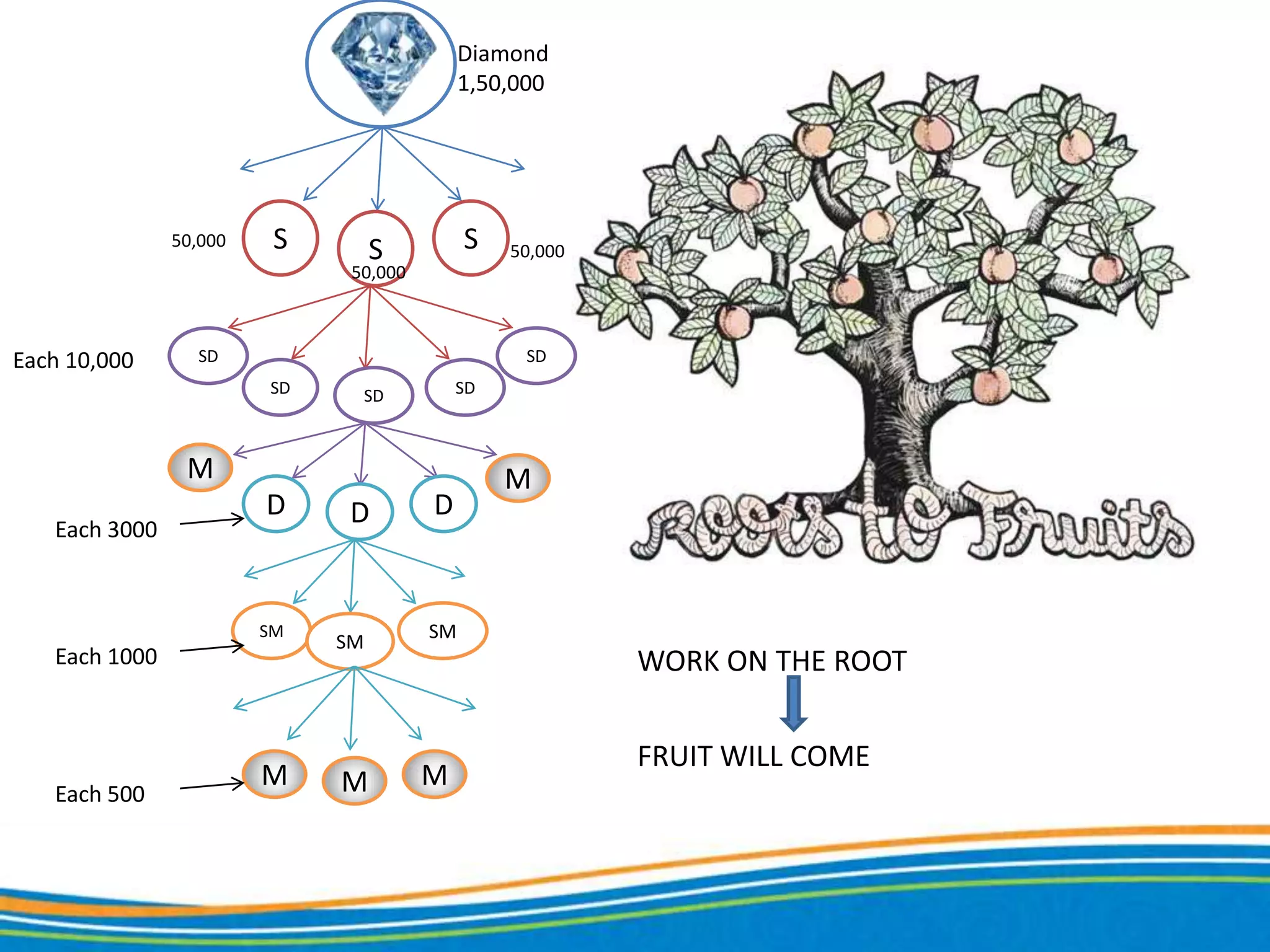 Unicity compensation plan indian version | PPTX