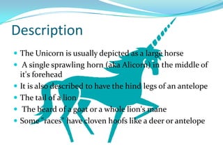 Unicorn Powerpoint!! | PPTX