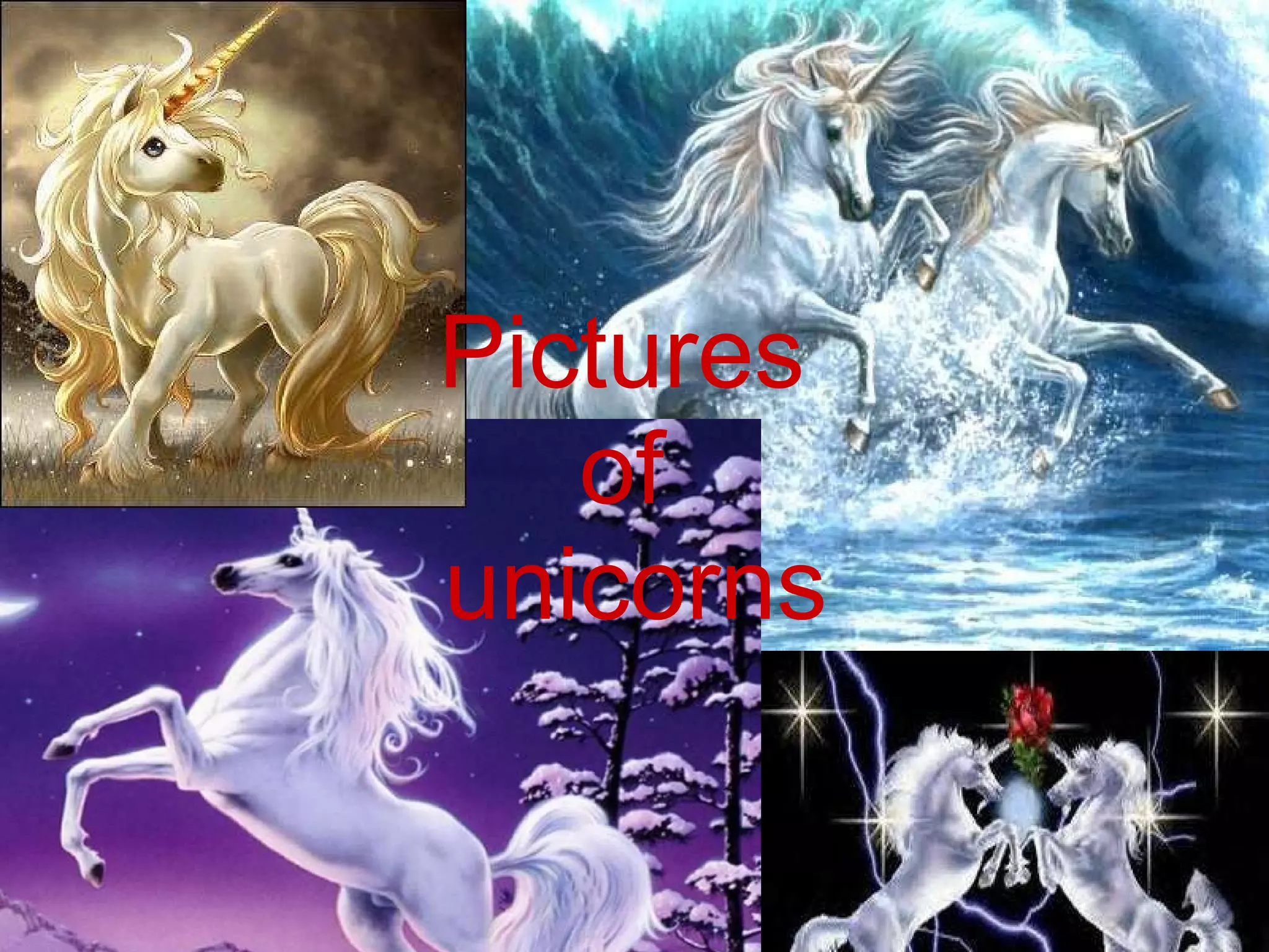 Unicorns | PPT