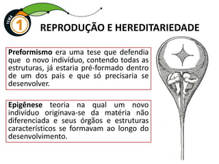 Unid. 6 - GENÉTICA - Tema 1 - Bases da Genética - 9º ano.pptx