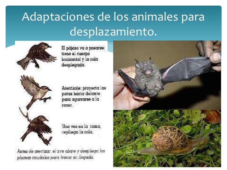 Unidad 2-ciencias-naturales