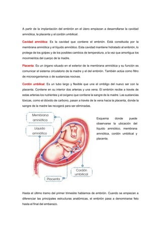 Unidad 2-reproduccion-y-sexualidad-guia-n-2-3er-ciclo | PDF
