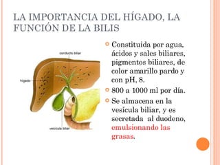 Unidad 3, Sistema Digestivo | PPT