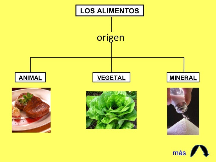 LOS ALIMENTOS