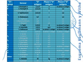 Unidad 6-bacteriologia | PPTX