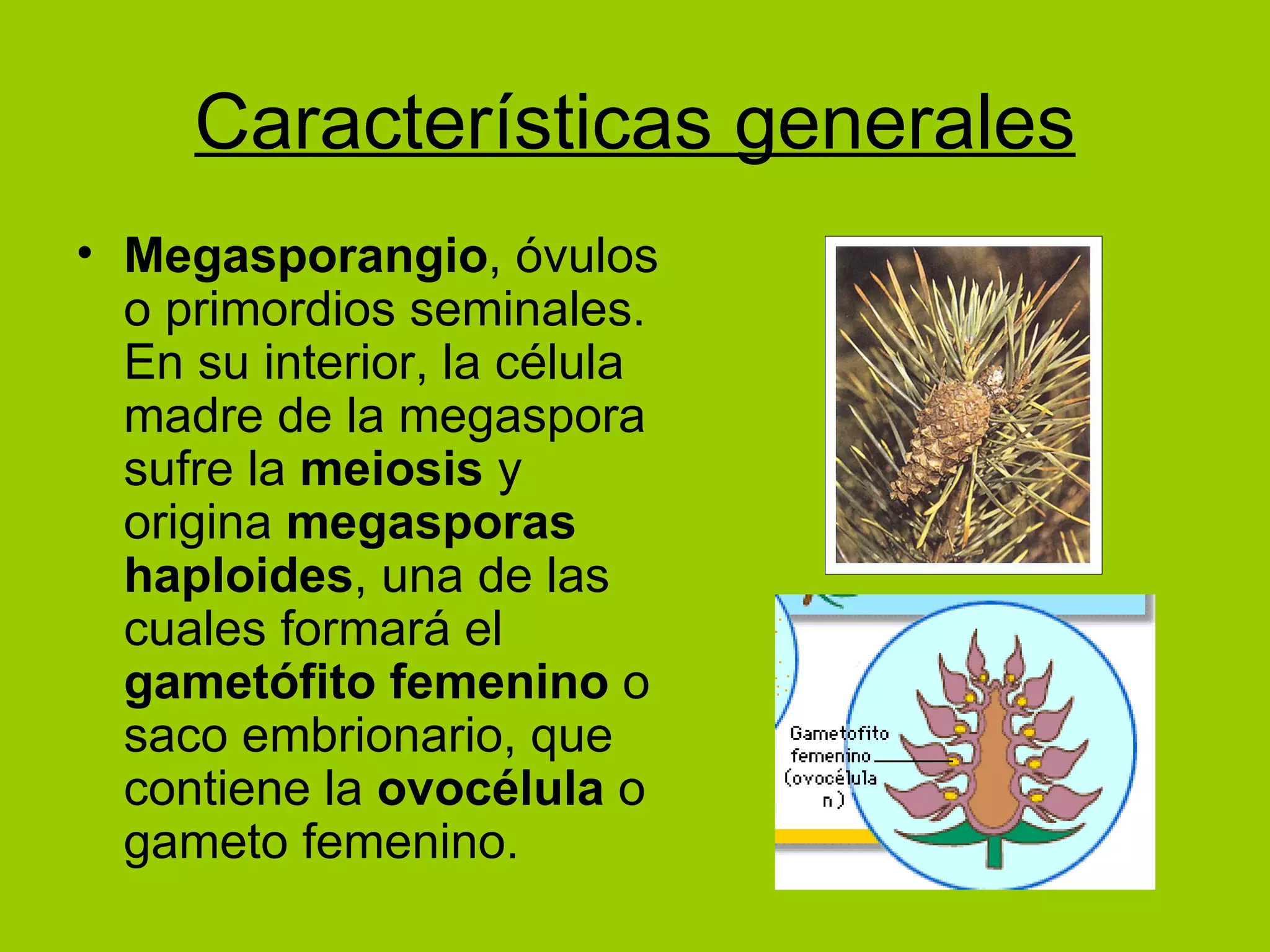 unidad 6 cuarta parte | PPT