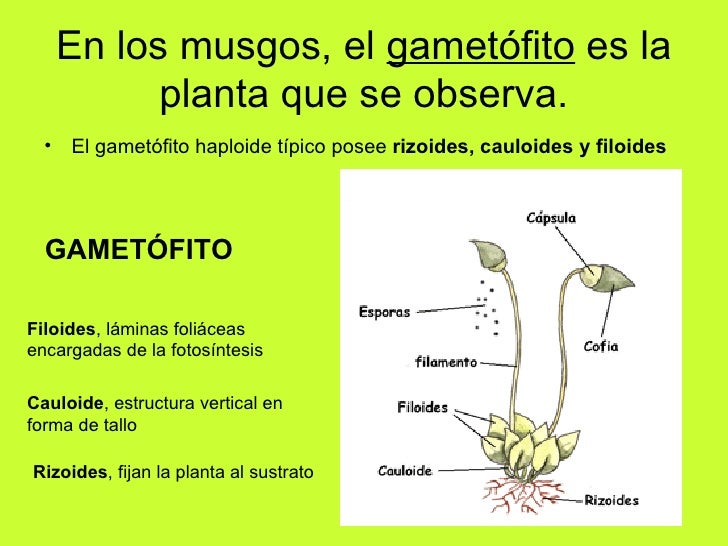 unidad 6 segunda parte