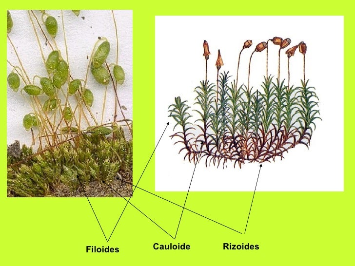 unidad 6 segunda parte