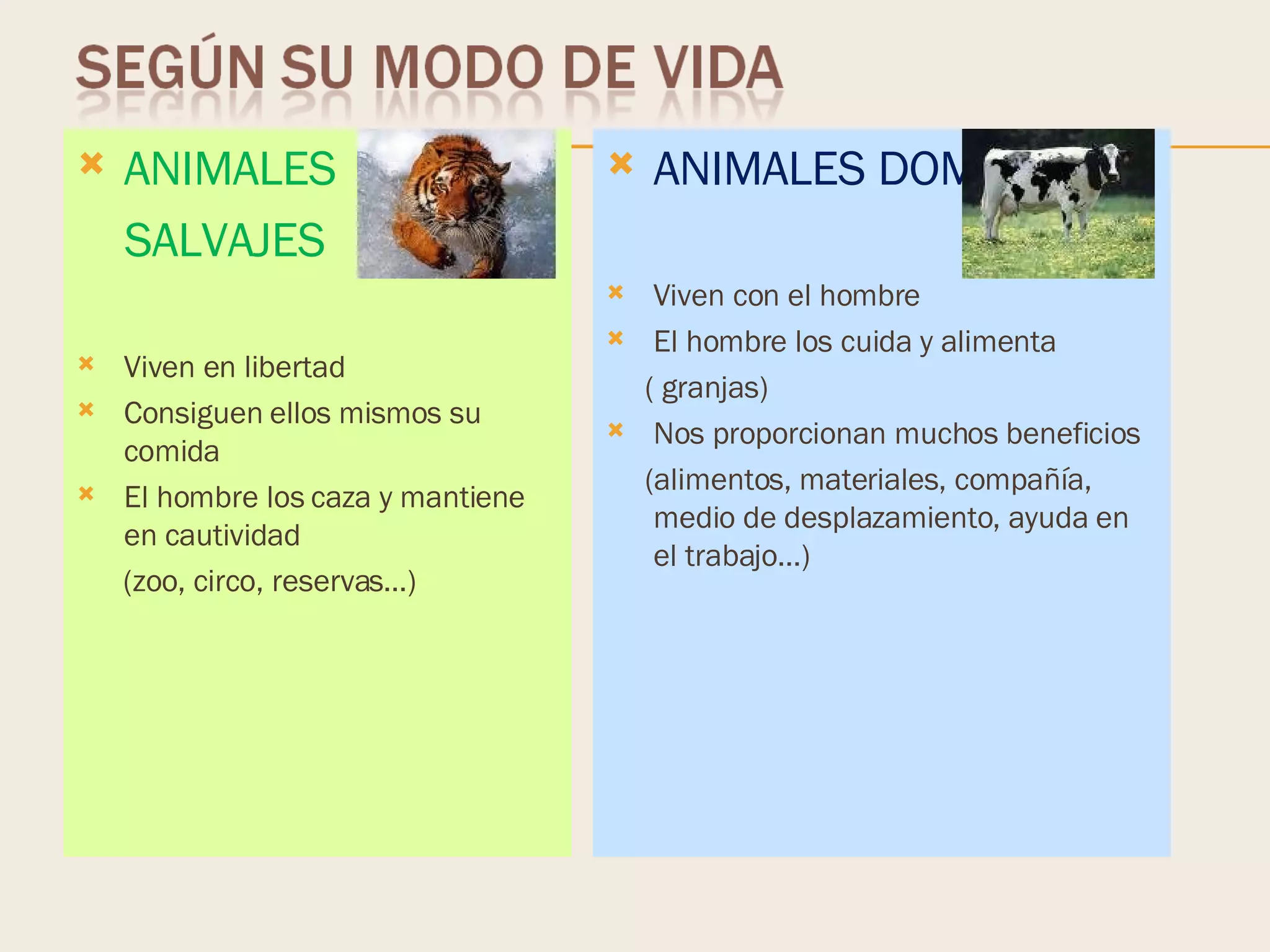 Unidad 8 Los Animales | PPT