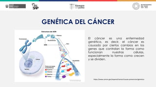 genetica del cancer | PPT