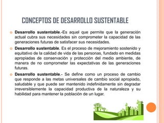 Desarrollo Sustentable Unidad 1 | PDF