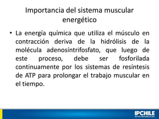 Unidad 1- PPT 3 Nutricion y actividad fisica Sistemas Energeticos.pptx