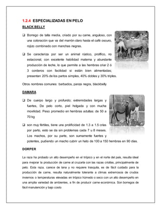 Unidad 1 razas , adaptacion y compartimiento - copia | DOCX