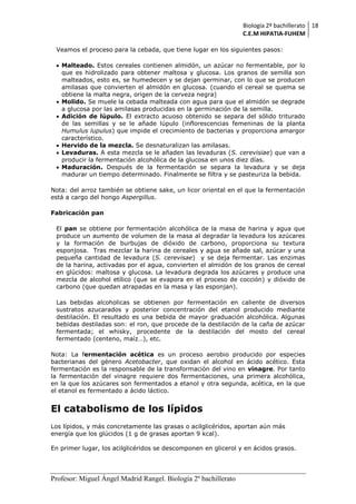 Unidad 10. metabolismo I. Catabolismo | PDF