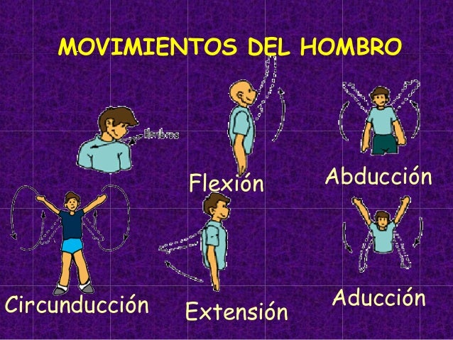 Movimientos