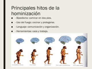 Unidad1_Historia_7Basico_Hominizacion.pptx