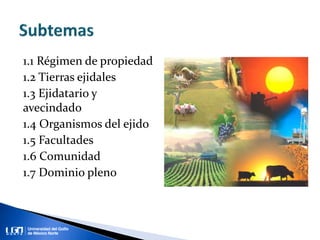 Unidad 1. Ejido y comunidad | PPTX