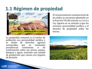 Unidad 1. Ejido y comunidad | PPTX