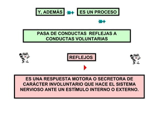 BASES NEUROLOGICAS DE LA CONDUCTA | PDF