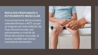 Unidad 2. Condicionamiento Clásico | PPTX