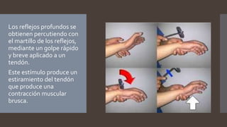 Unidad 2. Condicionamiento Clásico | PPTX
