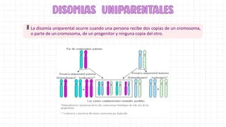 UNIDAD 2. ARBOL GENEALOGICO Y HERENCIA MENDELIANA. SUBGRUPO 2.pdf