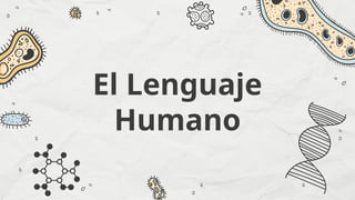El lenguaje humano escrituras y oralida. | PPTX