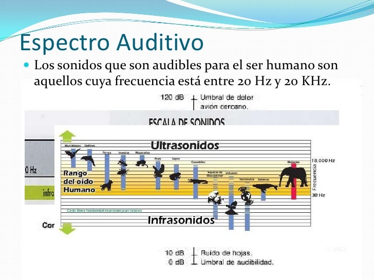 1M Unidad2 Sonido