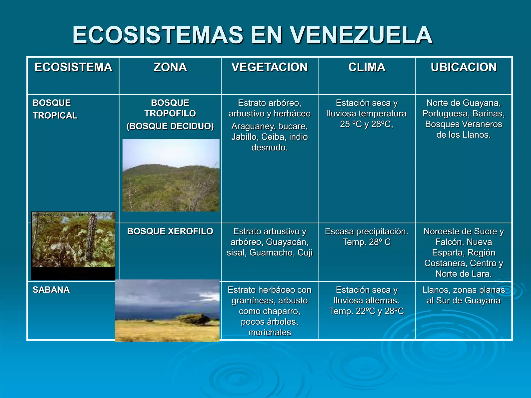 Unidad 2 biodiversidad y ecosistemas de venezuela | PPT