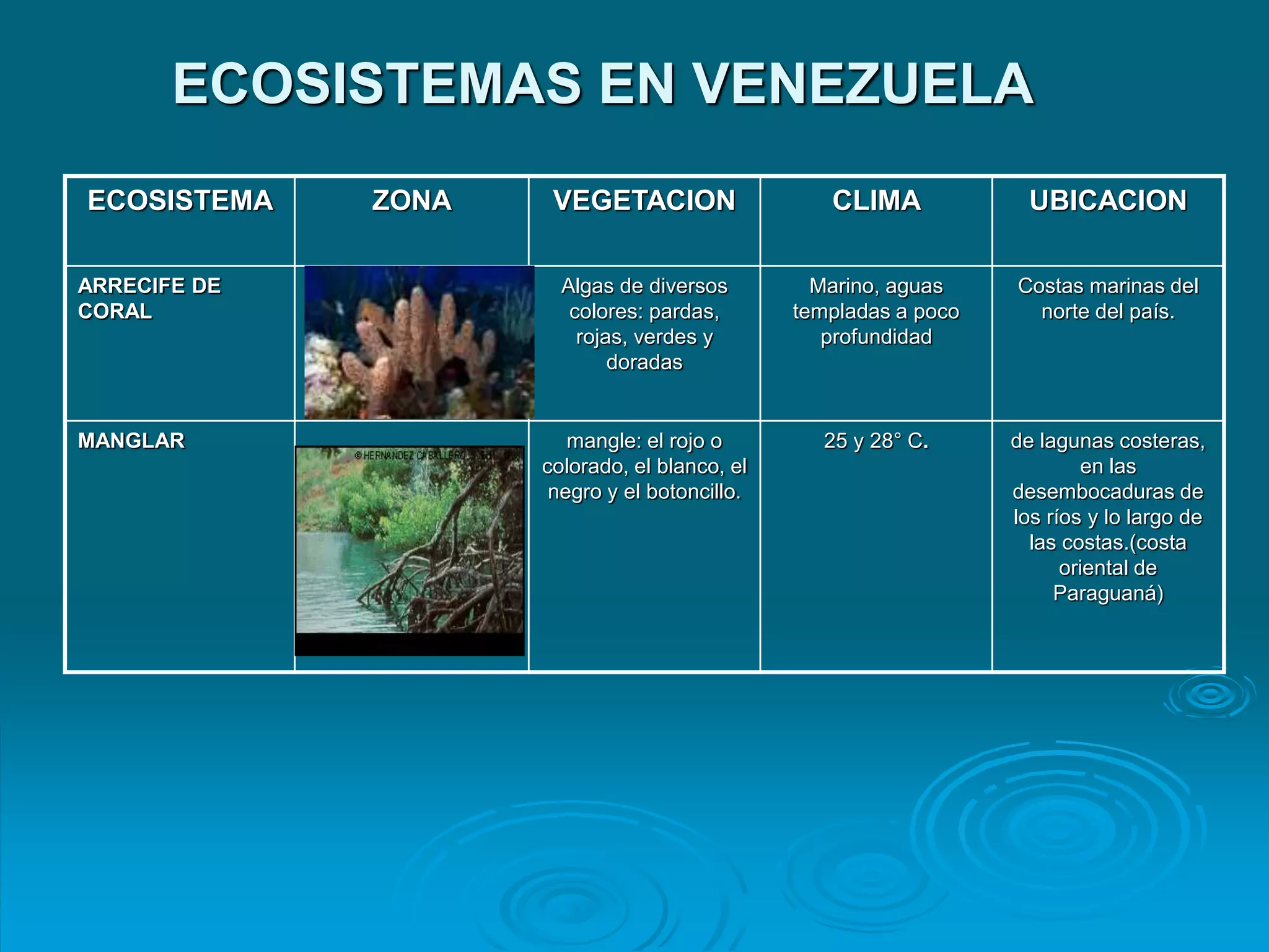 Unidad 2 biodiversidad y ecosistemas de venezuela | PPT