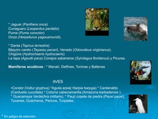 Unidad 2 biodiversidad y ecosistemas de venezuela | PPT